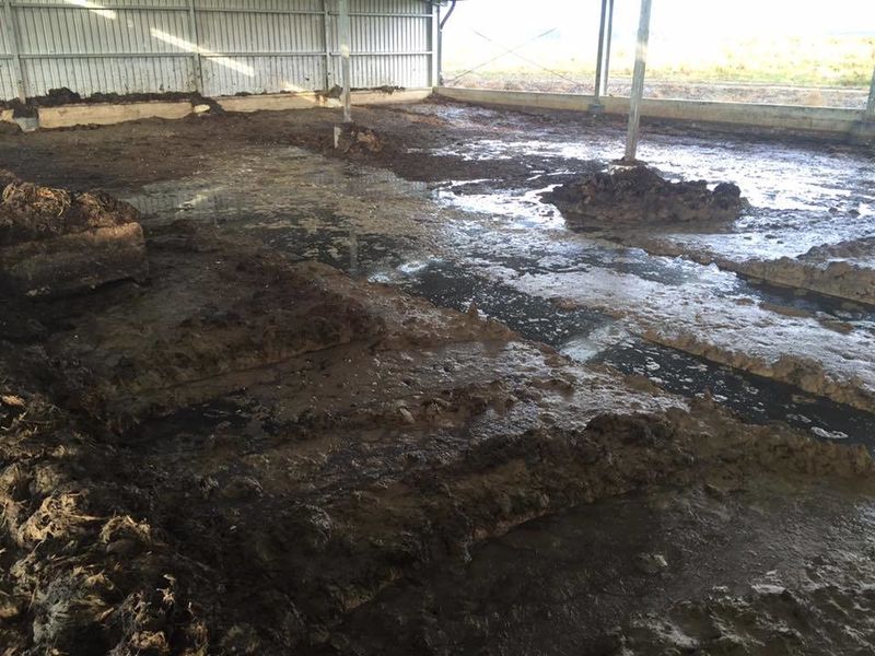 Effluent, Excavation & Cartage