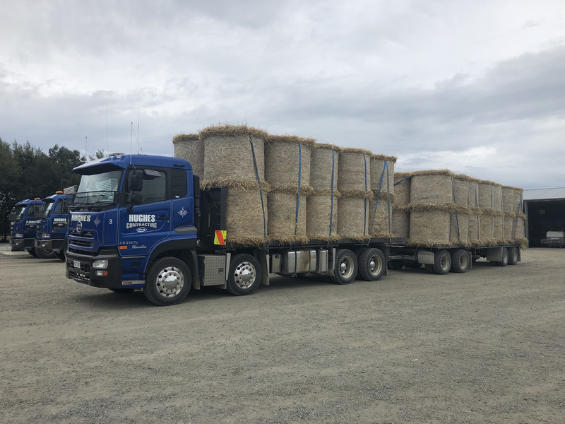 Effluent, Excavation & Cartage