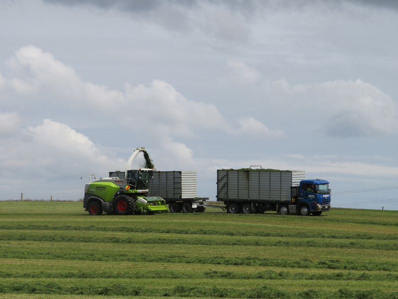 Effluent, Excavation & Cartage