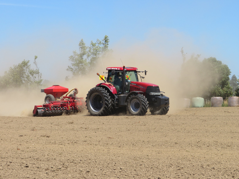 Cultivation & planting